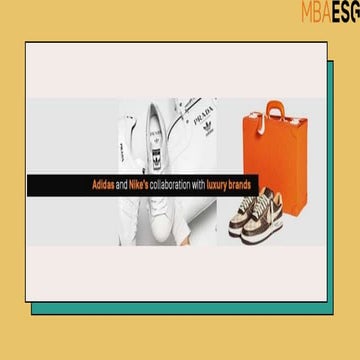 Adidas and Nike collaboration with luxury brands.pptx