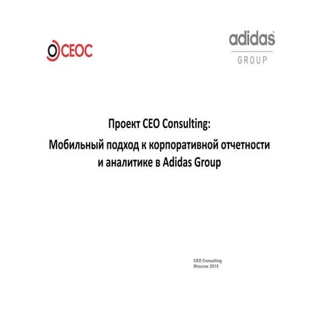 Adidas group mobile business intelligence | PDF