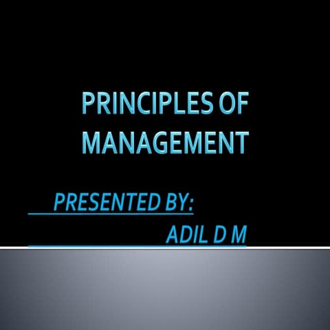 14 Principles of Management | PPTX