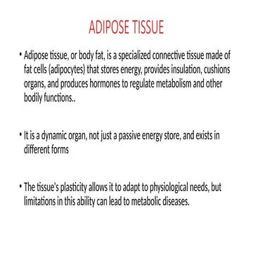 Adipose tissue histology - maha hammady | PPTX