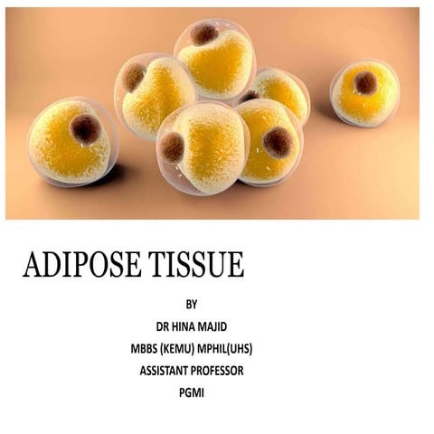 Adipose Tissue Histology | PPTX