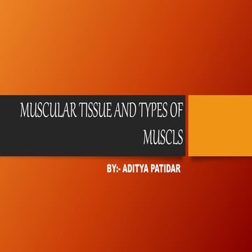 types of muscles.pptx
