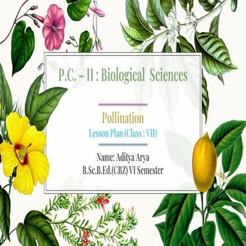 POLLINATION LESSON PLAN (PC: BIOLOGICAL SCIENCES) | PDF