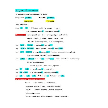 Les Adjectifs | PPTX