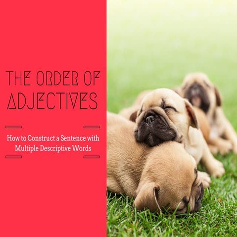 The Order of Adjectives: How to Construct a Sentence with Multiple ...
