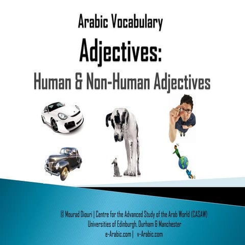 Arabic Vocabulary: Adjectives (Human & Non-Human) | PDF