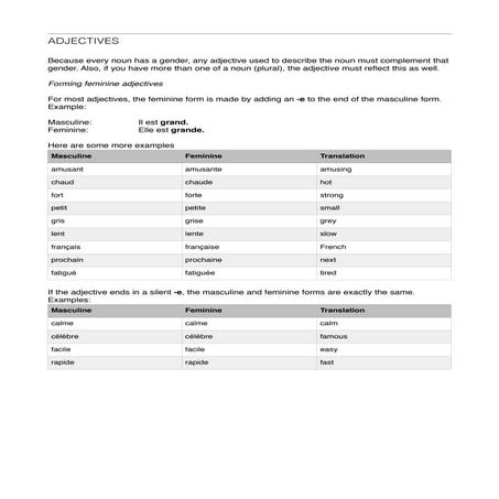 Les adjectifs qualificatifs in french .pptx