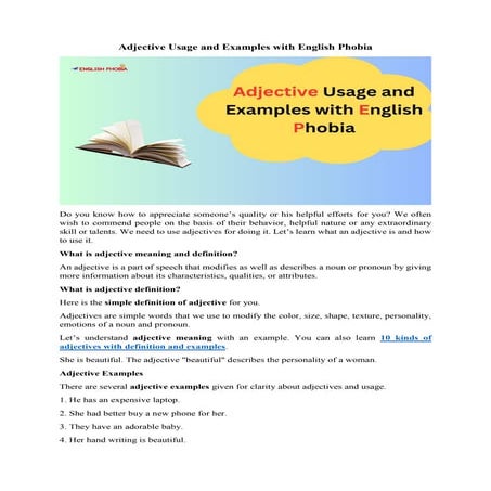 Adjective Usage and Examples | PDF