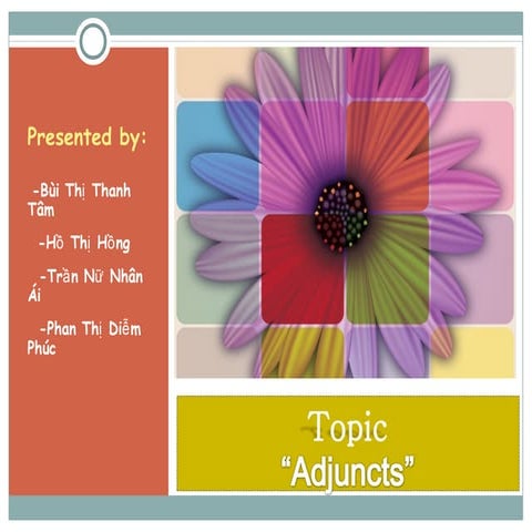 Adjuncts | PPT