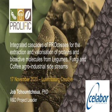 Brewing and fermentation technology - Institut Meurice | PDF