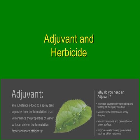Adjuvant.ppt