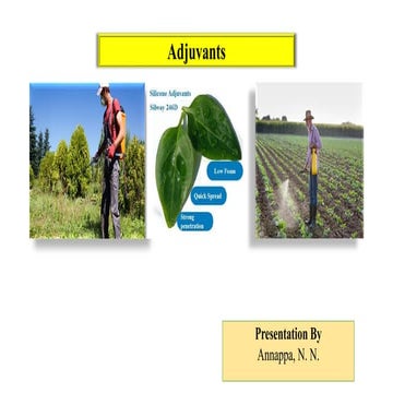 ADJUVANTS.pdf
