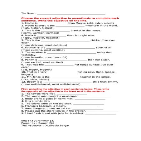 Adj worksheet | DOC