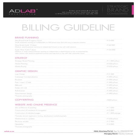 Adlab Billing Guideline (2) | PDF