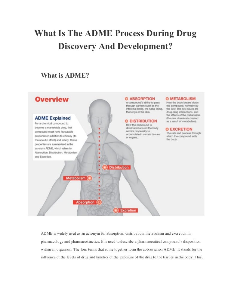 What Is The ADME Process During Drug Discovery And Development?