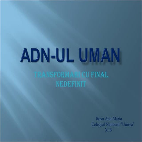 ADN-ul uman | PPT