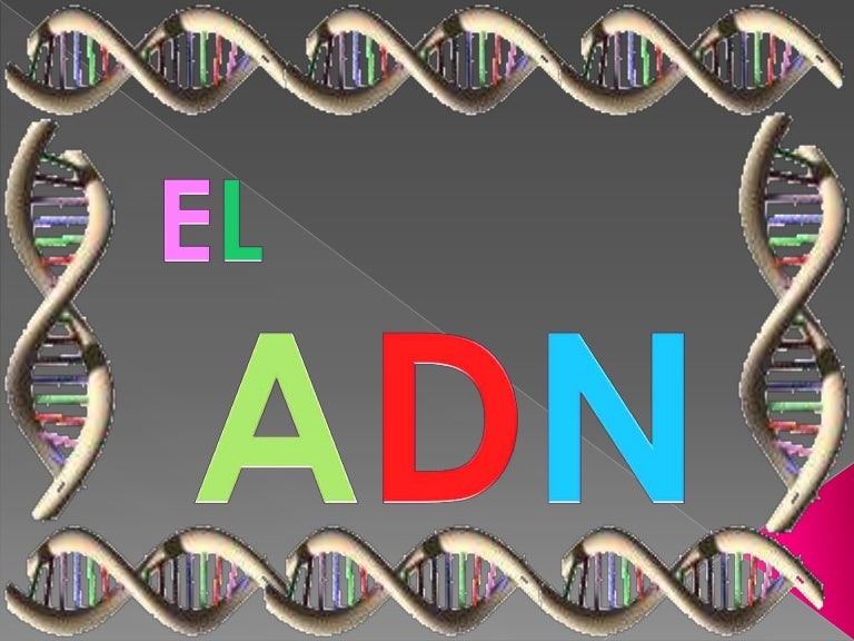 Adn