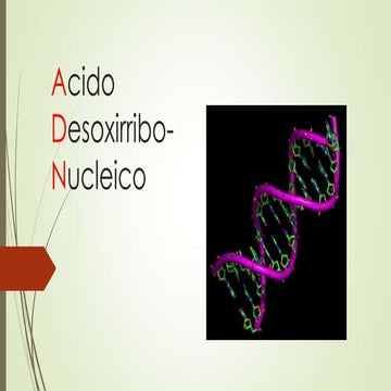 importancia , componentes y síntesis del adn | PDF