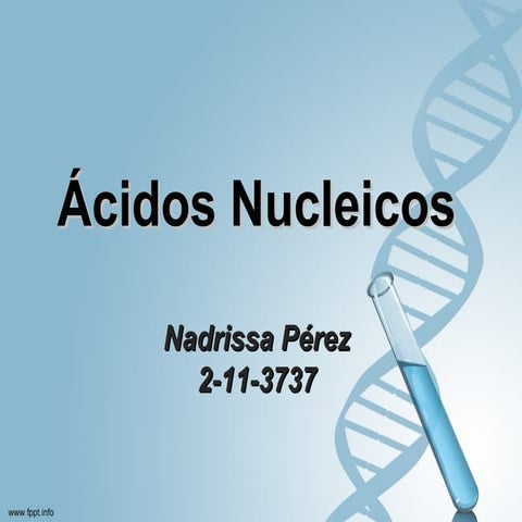 ADN y ARN | PPT