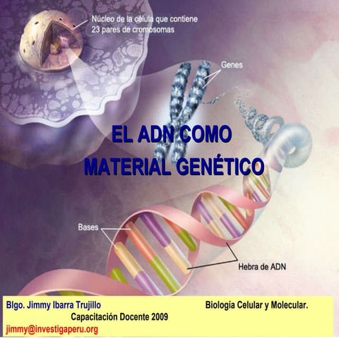 Adn material genetico | PPT