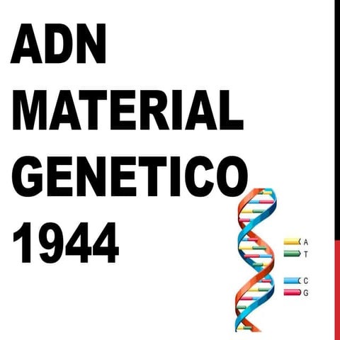 ADN Material genetico 1944 | PPTX