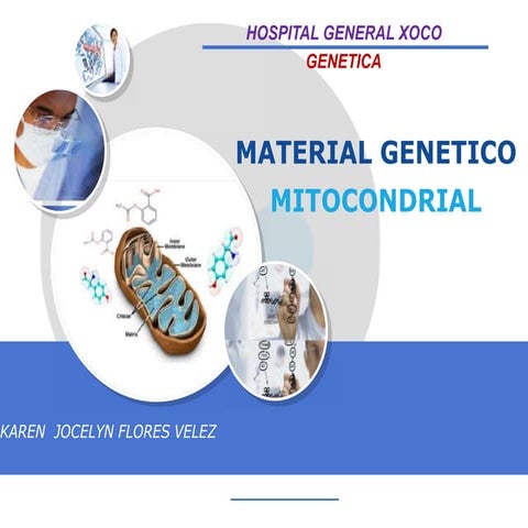 ADN MITOCONDRIAL.pptx