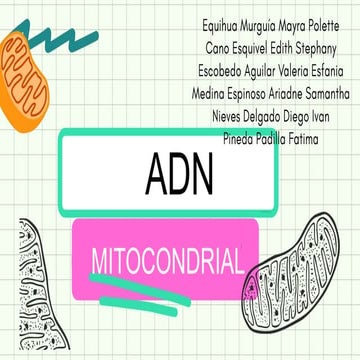 ADN MITOCONDRIAL.pptx