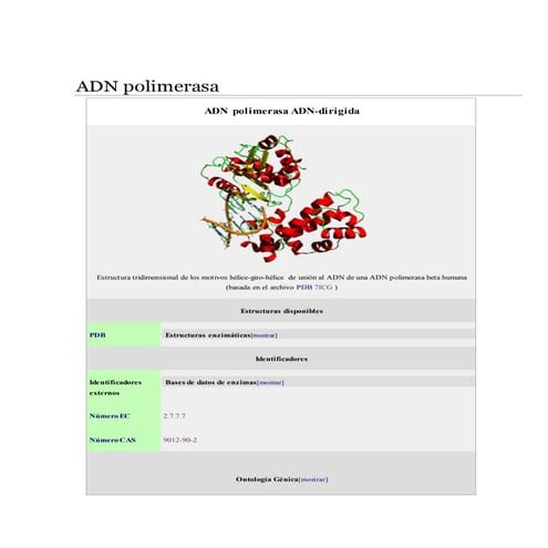 Adn polimerasa | DOCX | Biological Sciences | Science