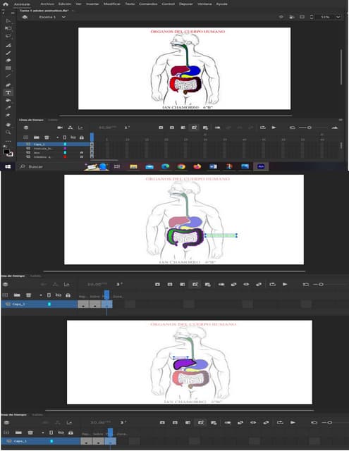 Taller Adobe Animate_U2_T2.pdf | Graphics Software | Computer Software and Applications