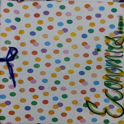 The Lost Spring English Class 12 | PPTX