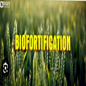 Biofortification and food additives | PPT
