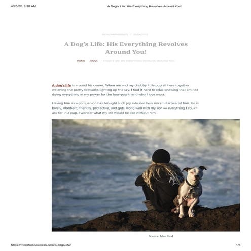 A Dog_s Life_ His Everything Revolves Around You!.pdf