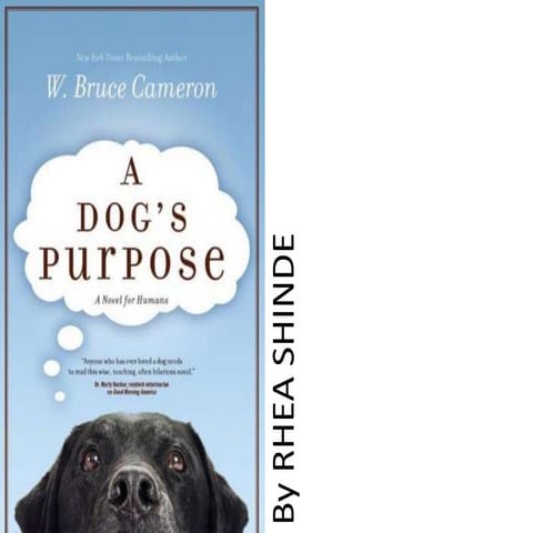 A dogs purpose | PPT