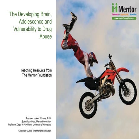 The Developing Brain, Adolescence and Vulnerability to Drug Abuse | PDF