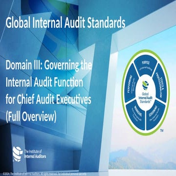 Jenitha John on Auditing, Growth, and Governance | PDF
