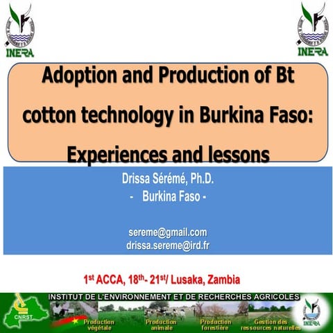 Adoption and production of bt cotton technology in burkina faso ...