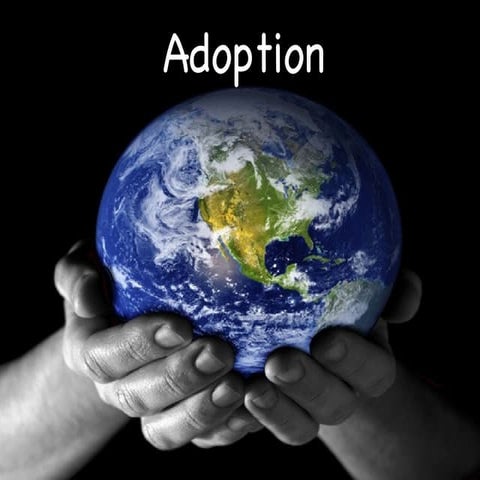 Adoption Final Presentation | PPT