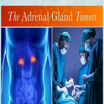 Adrenal-Glands_of_Human_body_123456789.pptx