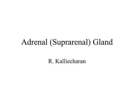 Juxtaglomerular apparatus (The Guyton and Hall physiology) | PPT