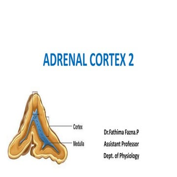 Cortisol | PPTX