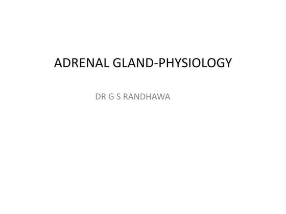 Skene’s gland anatomy features and functions | PPTX