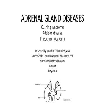 Adrenal gland diseases,Cushing syndrome,Addison disease and ...