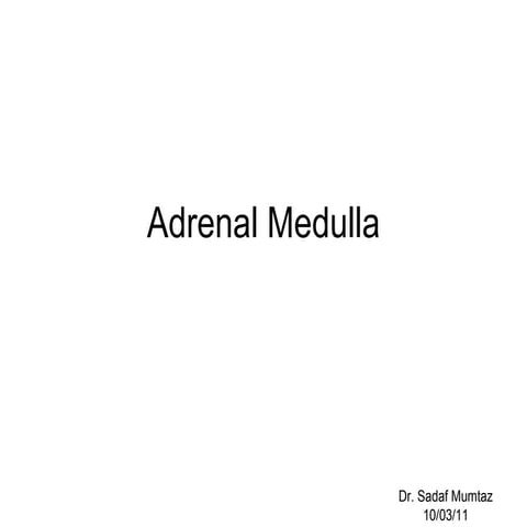 Adrenal medulla | PPT