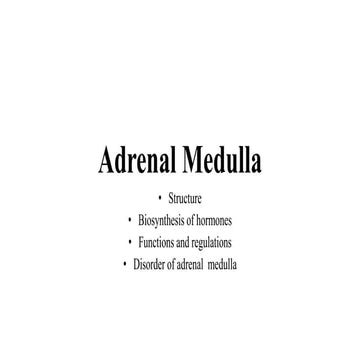 Adrenal medulla | PPTX