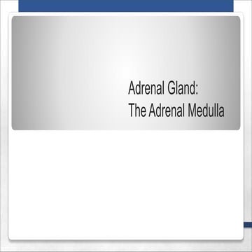 Adrenal medulla.pptx