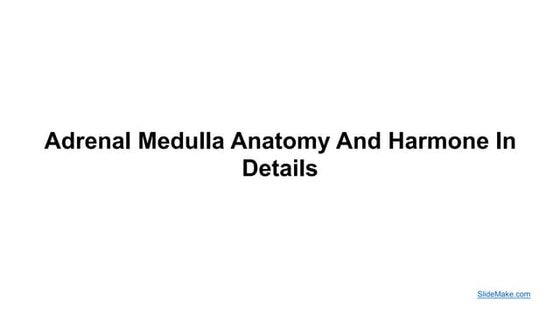 Adrenal Gland, Hormones of the Adrenal Gland.pptx