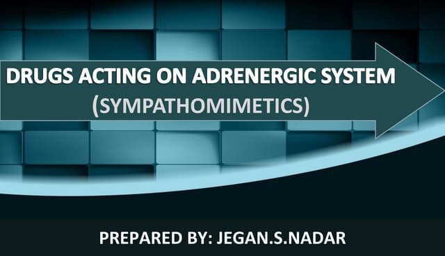 Adrenergic system and drugs | PPTX