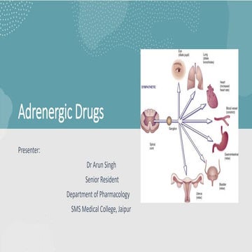 Adrenergic Drugs.pptx | Endocrine and Metabolic Diseases | Diseases and ...