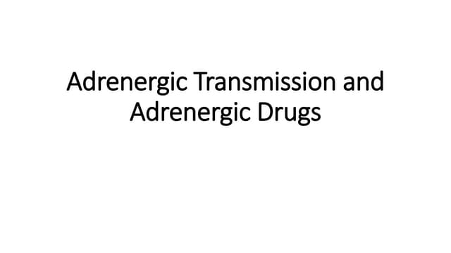 Adrenergic system and drugs | PPTX