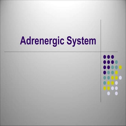 Adrenergic system.pptx